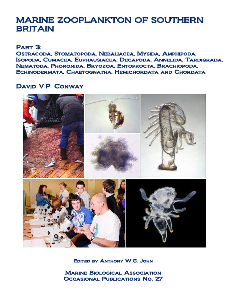 Zooplankton Guide 27 | PDF | Arthropods