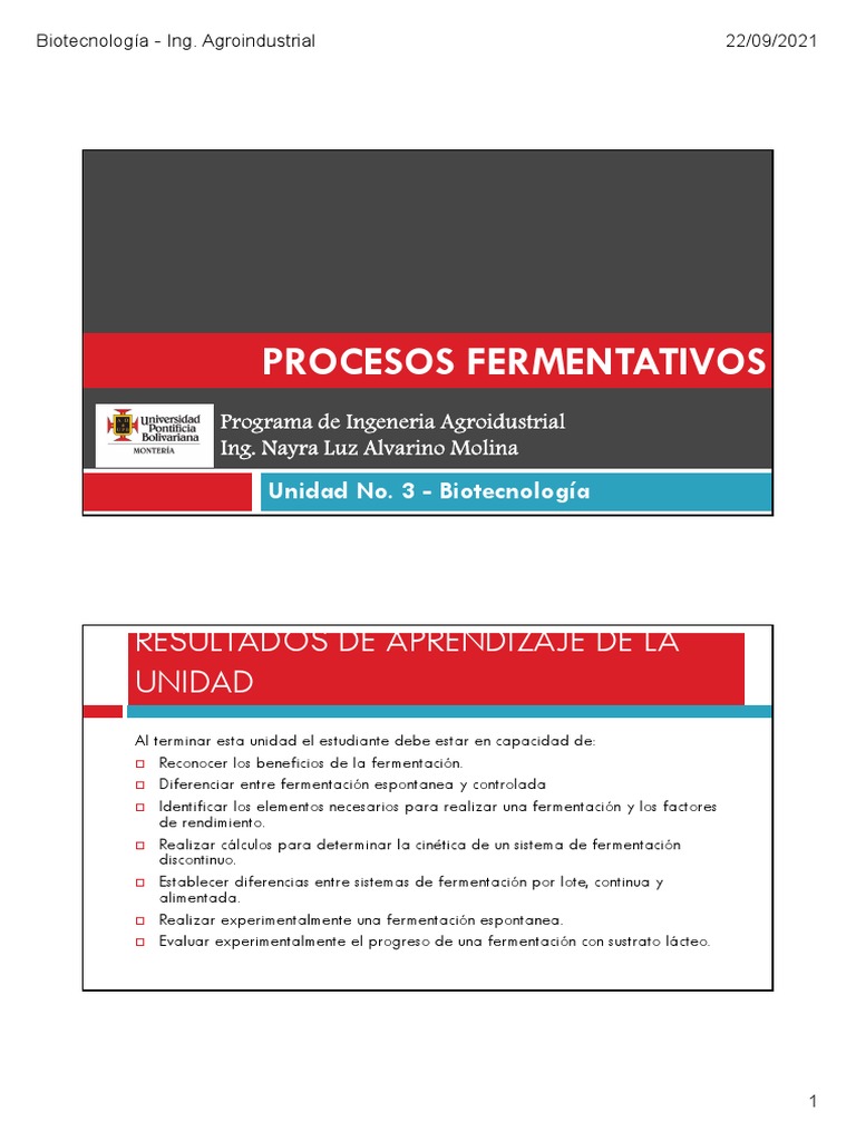 Procesos Fermentativos | PDF | Fermentación | Esterilización (Microbiología)