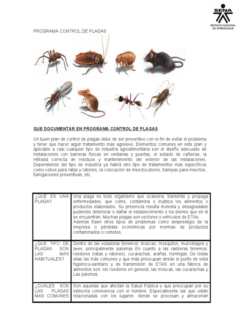 2 Programa Control de Plagas | PDF | Mosquito | Mosca