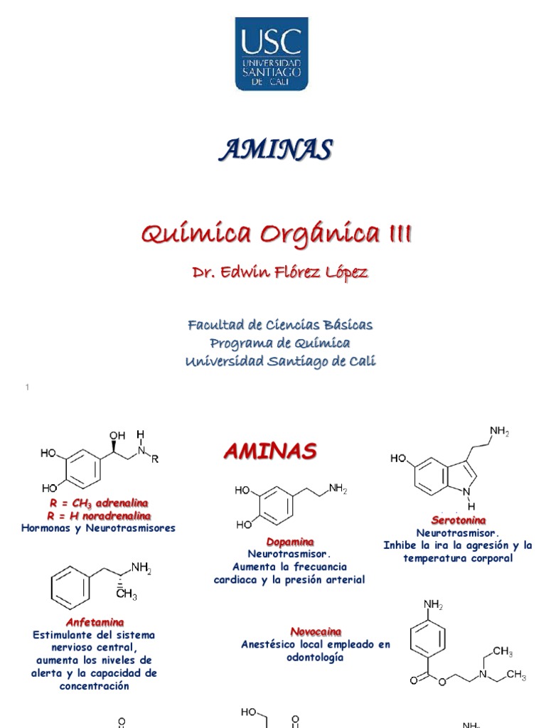 Aminas | PDF | Compuestos orgánicos | Sustancias químicas