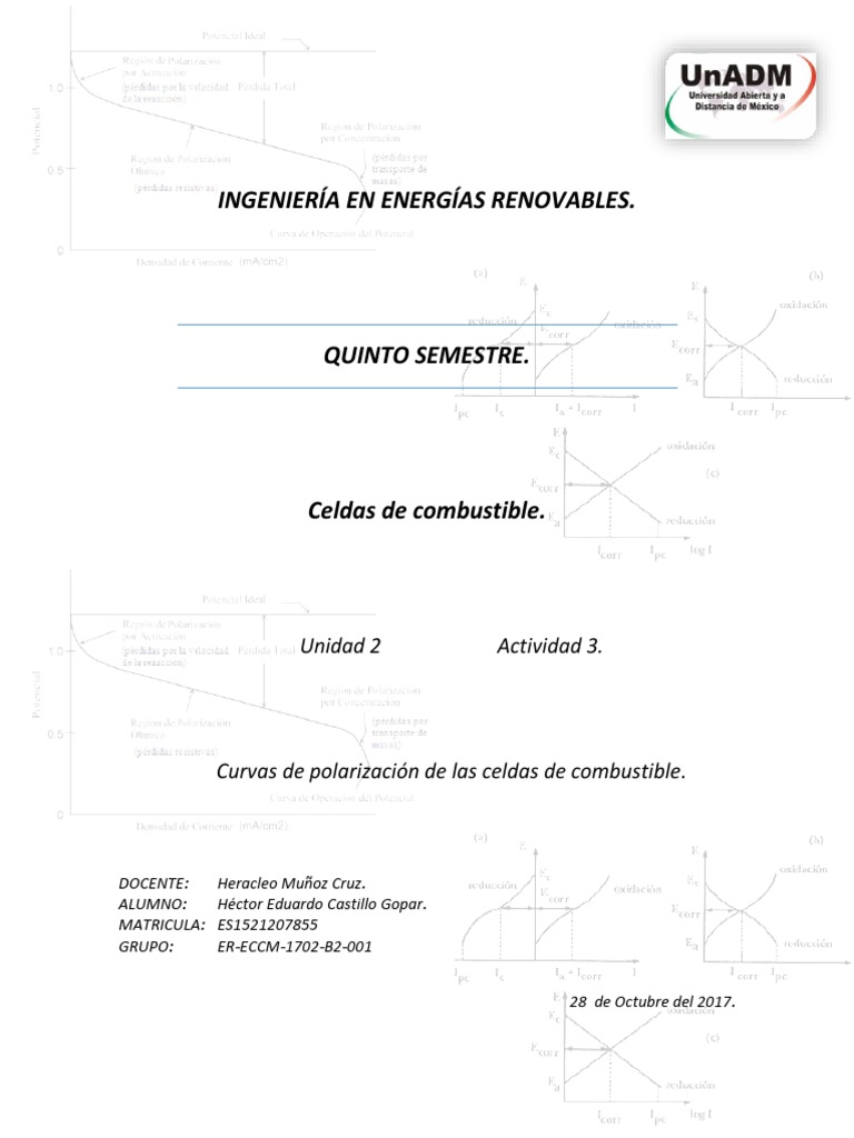 Eccm U2 A3 Hecg. | PDF | Pila de combustible | Electrodo