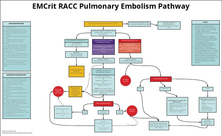 EMCrit Lae Pulmonary Flow | PDF | Clinical Medicine | Medical Specialties