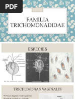 Tricomoniasis Diapositiva | PDF | Epidemiología | Enfermedades y trastornos