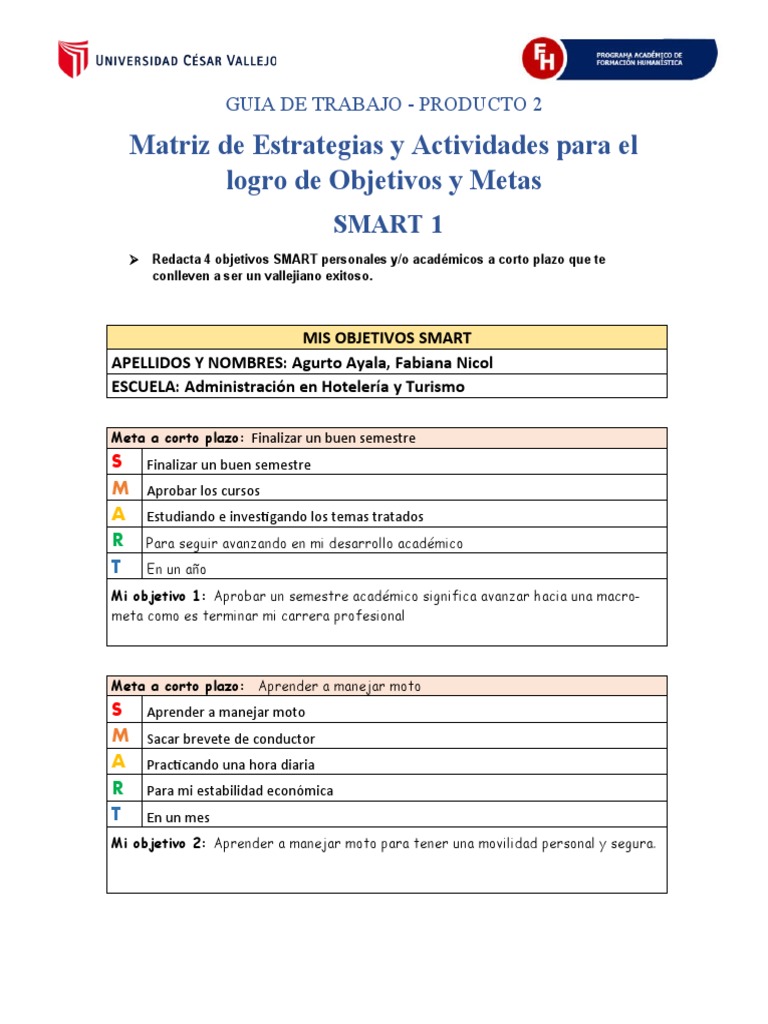 2° Matriz Smart | PDF | Crecimiento personal y profesional | Relaciones ...