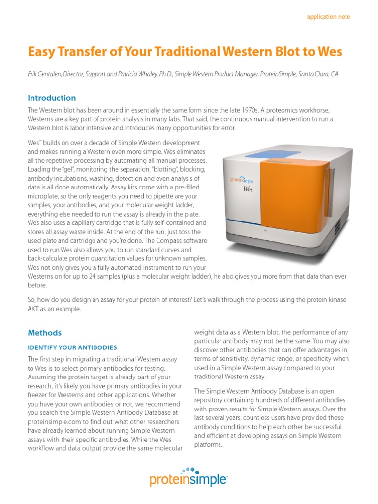 Application Note Easy Transfer of Your Traditional Western Blot To Wes ...