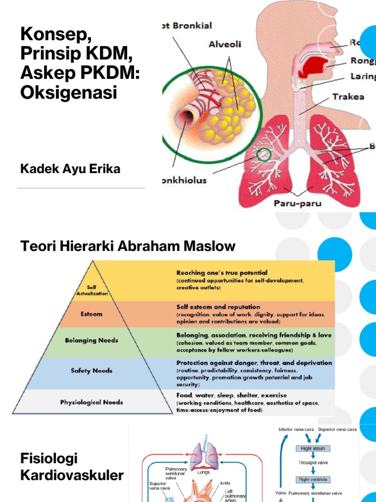 PKDM-Oksigenasi - Kadek Ayu Erika | PDF