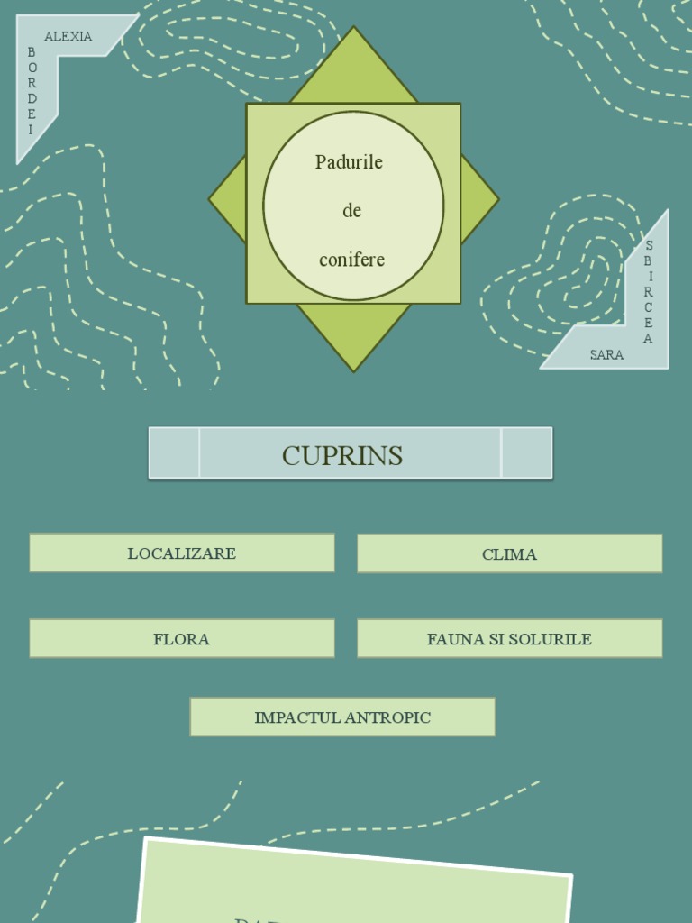 Paduri de Conifere | PDF