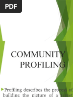 9 - Community Profiling PDF | PDF | Community | Cognition