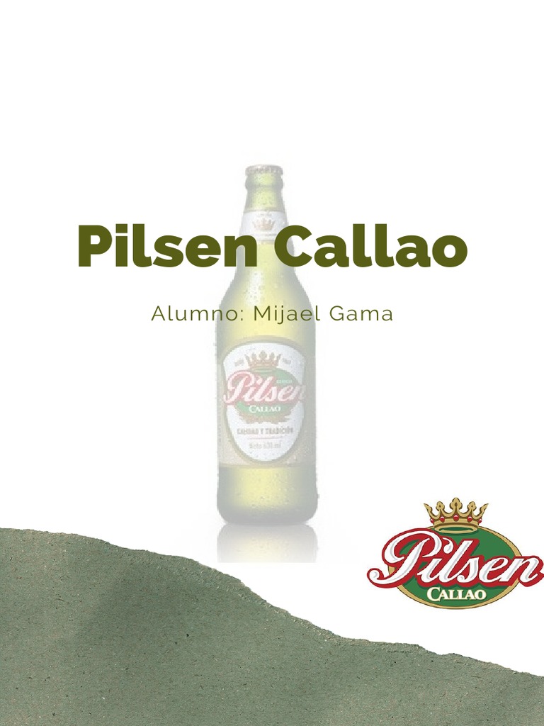Pilsen Callao | PDF | Marketing | Marca
