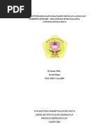 LP Keperawatan Jiwa - Halusinasi | PDF