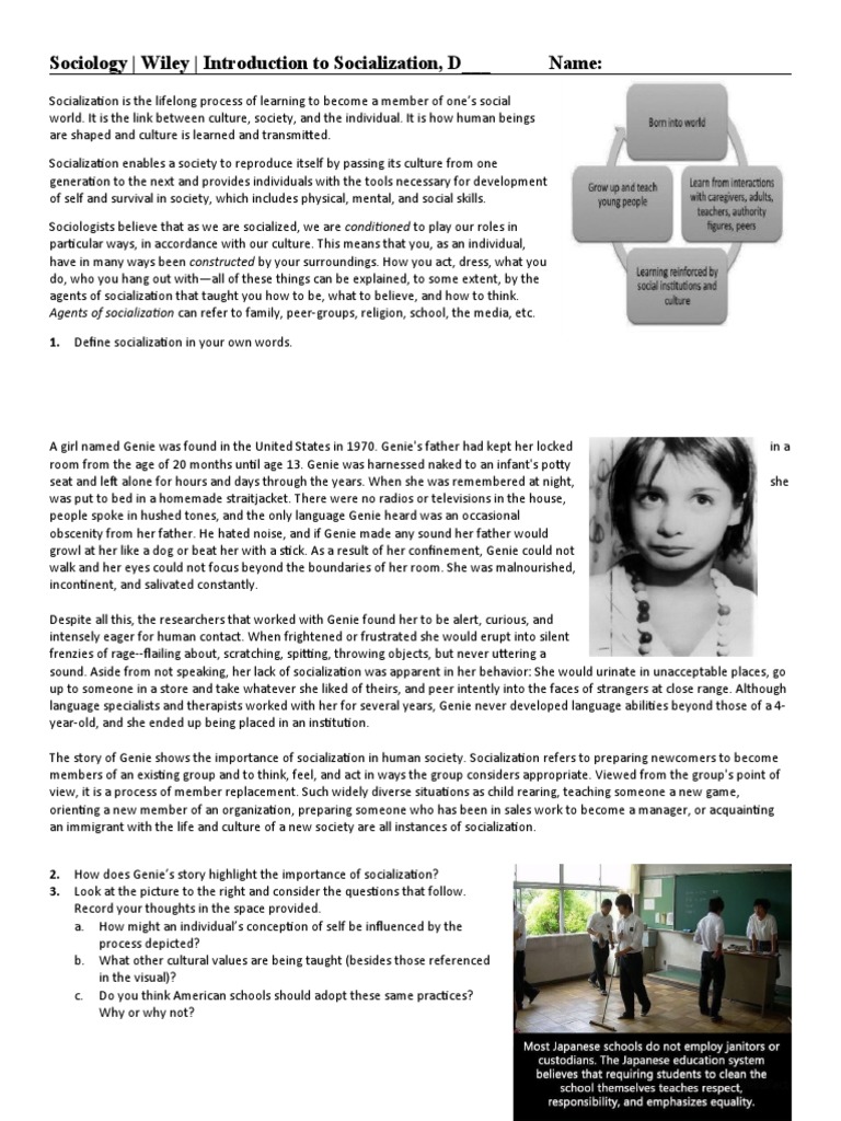 Introduction To Socialization | PDF | Socialization | Behavioural Sciences