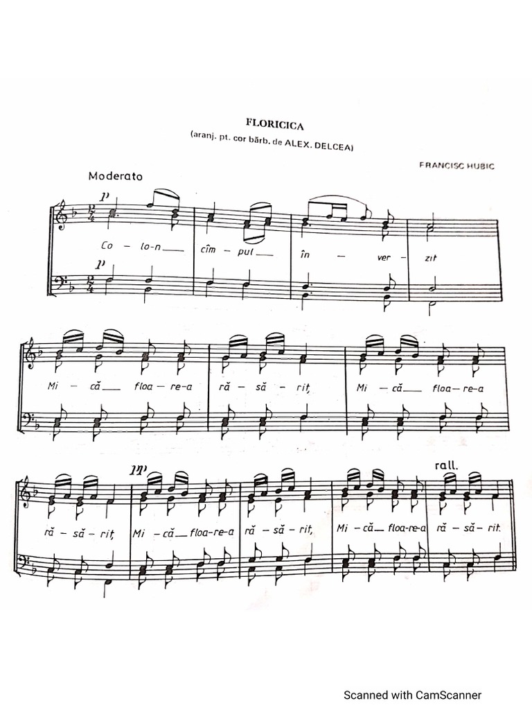 Floricica - Francisc Hubic | PDF