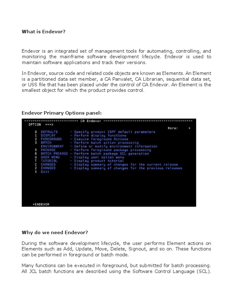 Endevor | PDF | Software Development | Computer Science