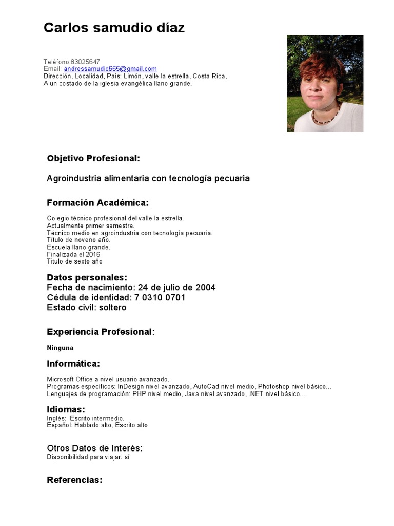 Curriculum-Vitae-Cronologico 2 | PDF | Crecimiento personal y profesional