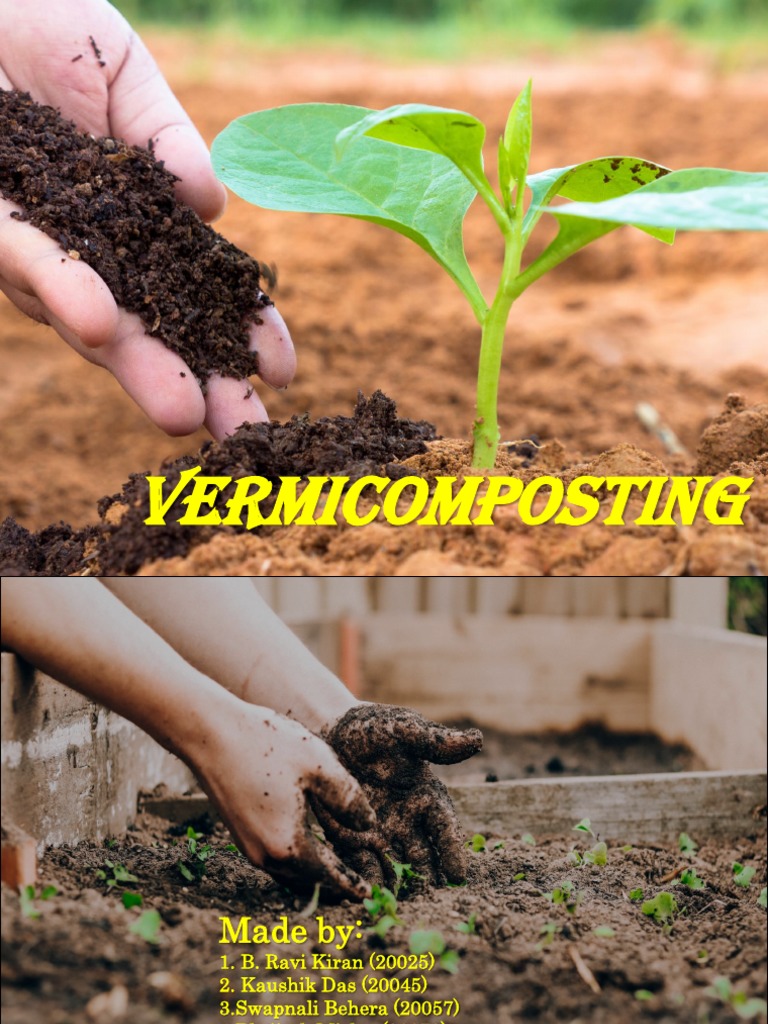 Vermicompost | PDF | Agriculture | Materials