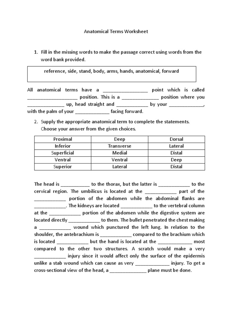 Anatomical Terms Worksheet | PDF