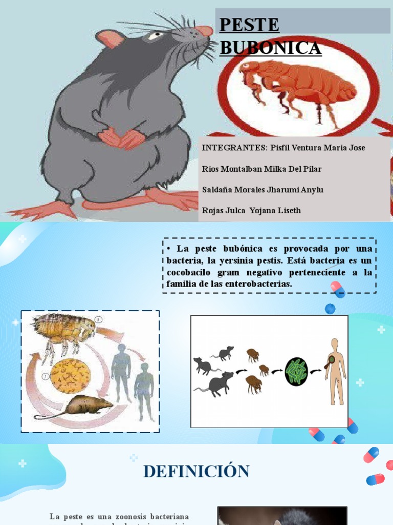 La Peste Bubonica | PDF | Especialidades Medicas | Medicina Veterinaria