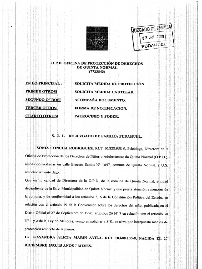Modelo Medida de Protección | PDF