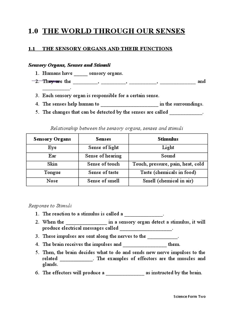 The World Through Our Senses | PDF | Senses | Ear