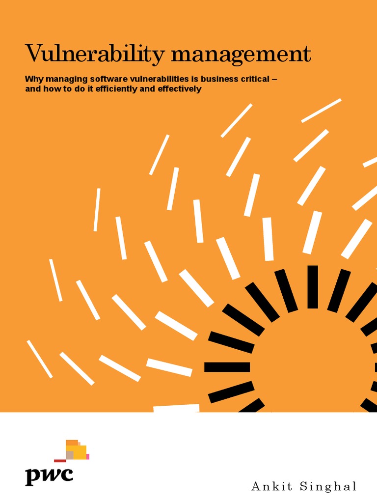 Vulnerability Management | PDF | Vulnerability (Computing) | Internal ...