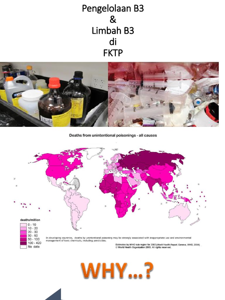 Program Pengelolaan B3 Dan Limbah B3 | PDF