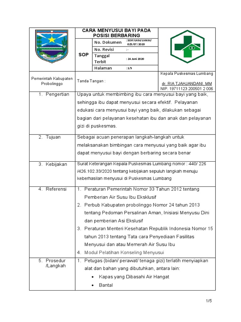 Sop Cara Menyusui Bayi Pada Posisi Berbaring | PDF