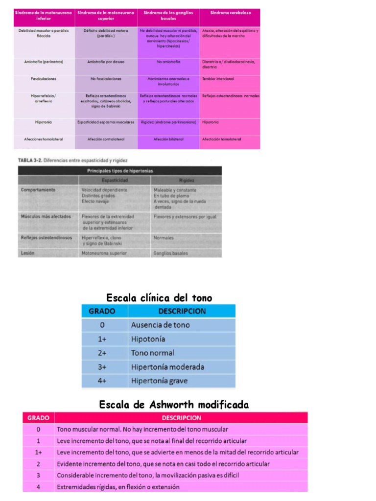 Escalas | PDF