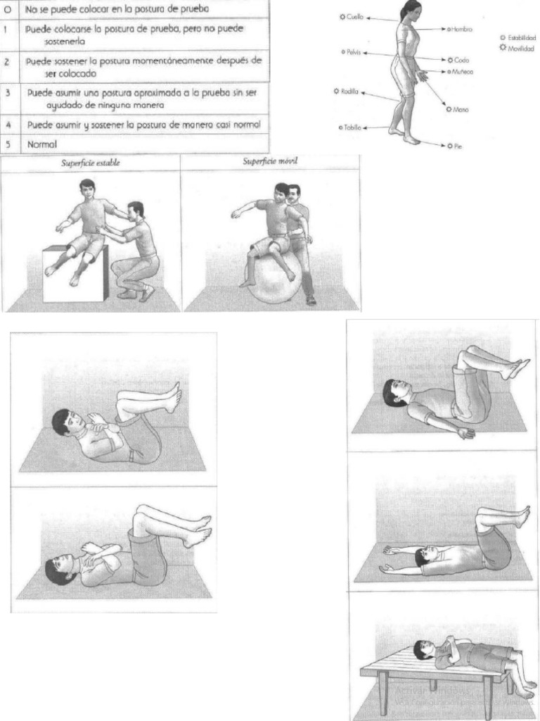 Imagenes Bobath | PDF