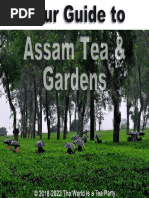 Activity Algorithm - Making A Cup of Tea | PDF | Leaf | Algorithms