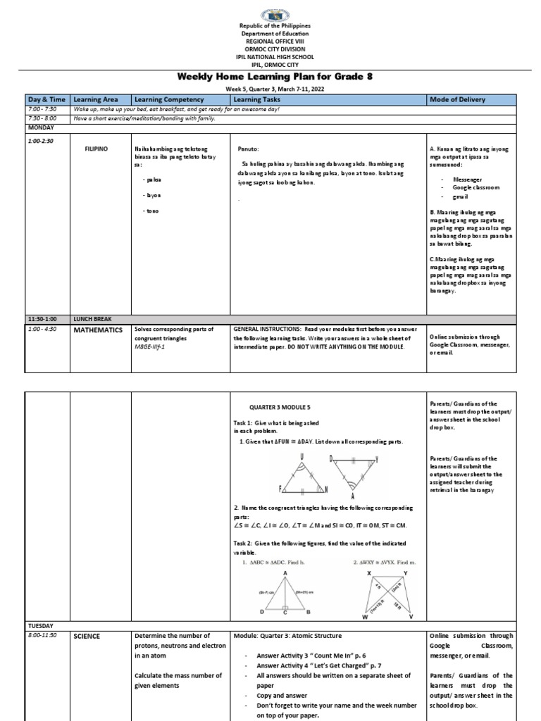 Weekly Home Learning Plan For Grade 8: Day & Time Learning Area ...