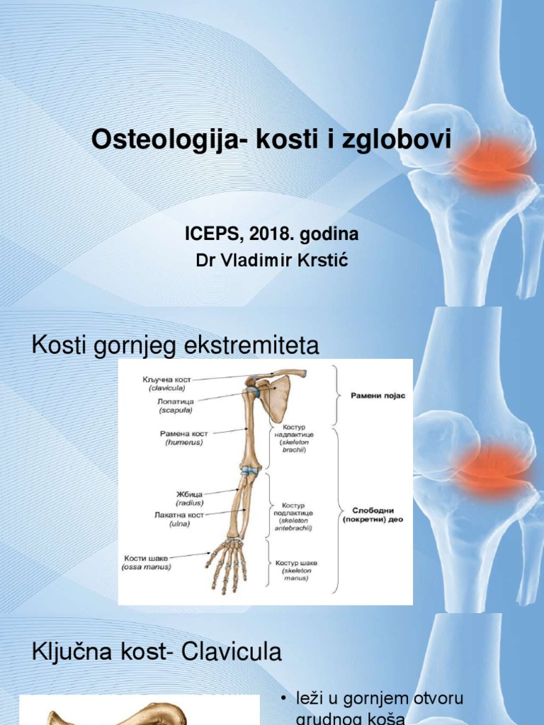 Osteologija Kosti I Zglobovi DR Krstic Vladimir | PDF