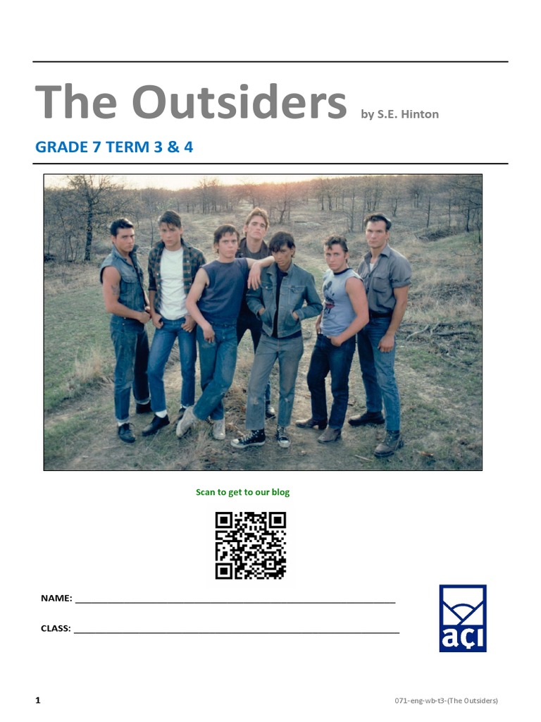 The Outsiders Pre-Reading and Questions | PDF
