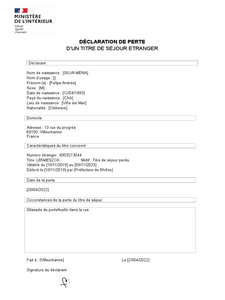 Template Declaration Perte V1 | PDF