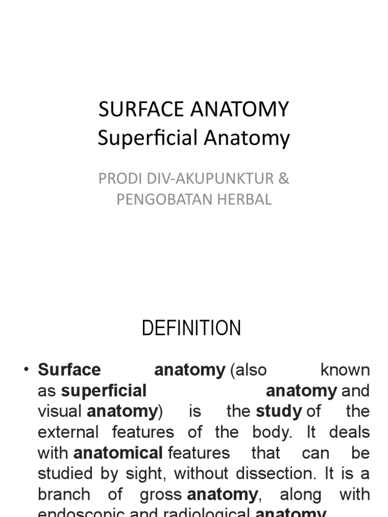 Understanding Surface Anatomy Basics | PDF | Anatomy | Anatomical Terms ...