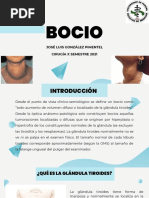 Clasificación del Bocio según OMS | PDF