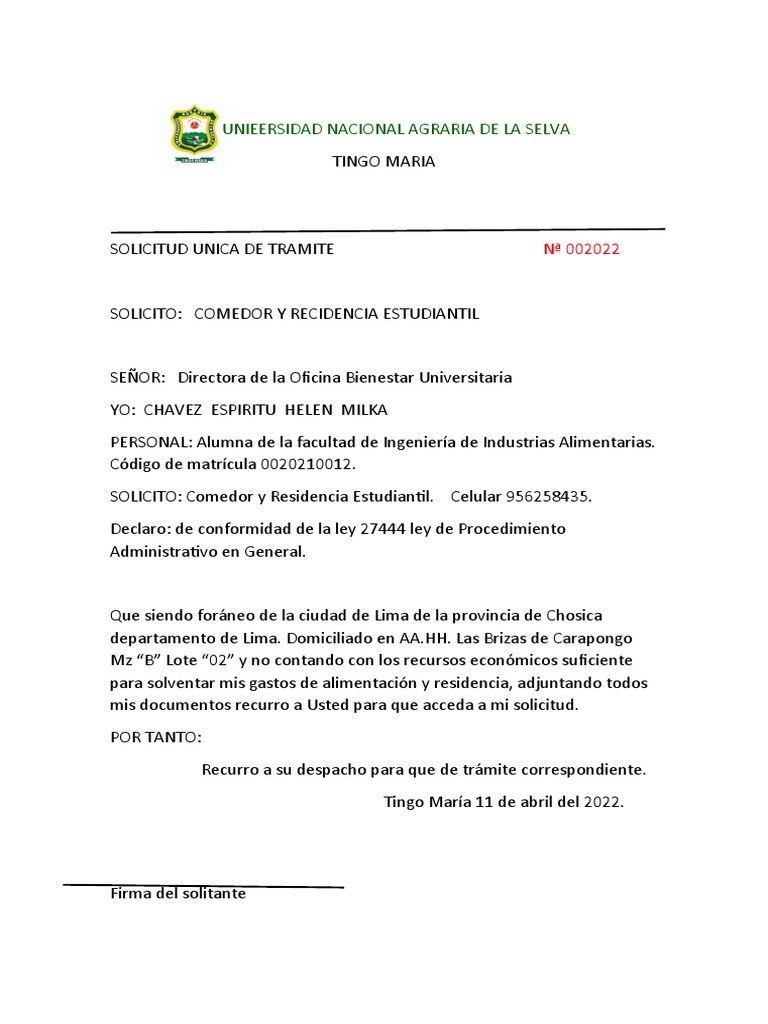 Modelo Solicitud Una Internado | PDF