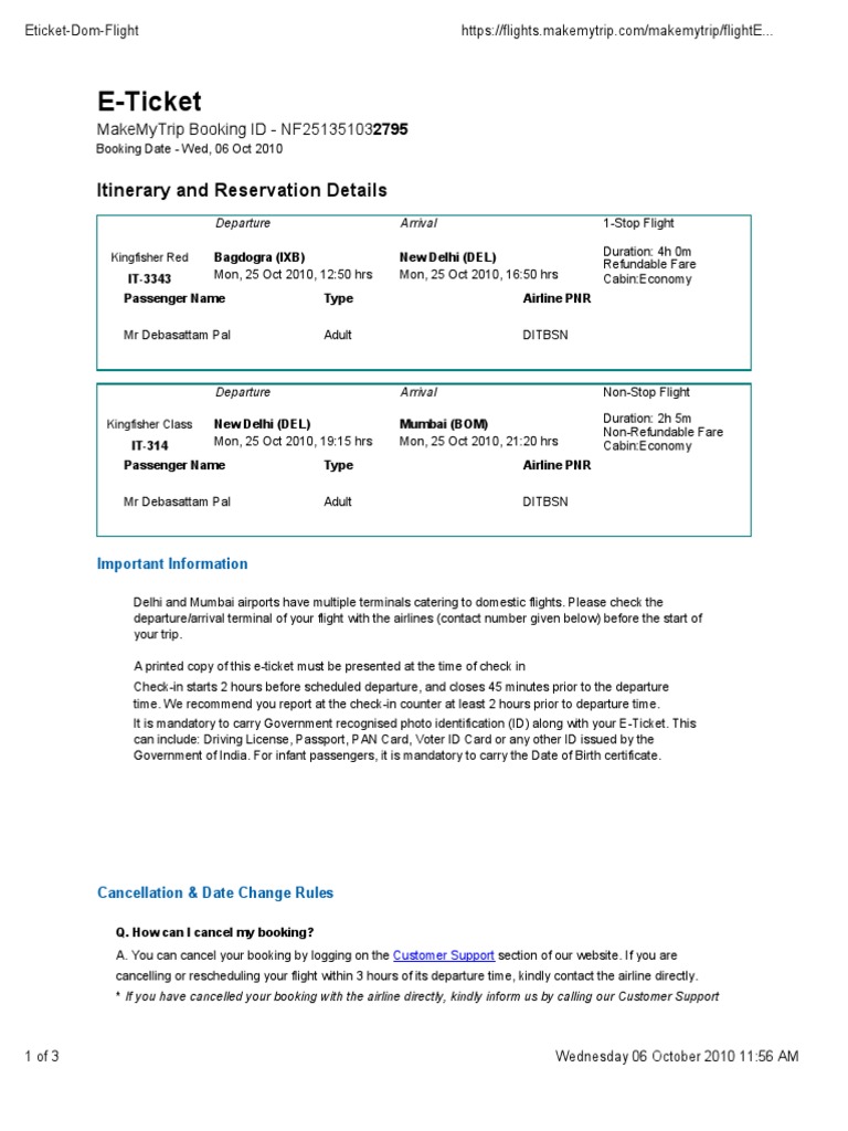 Plane Ticket Template 7 | PDF | Baggage | Aviation