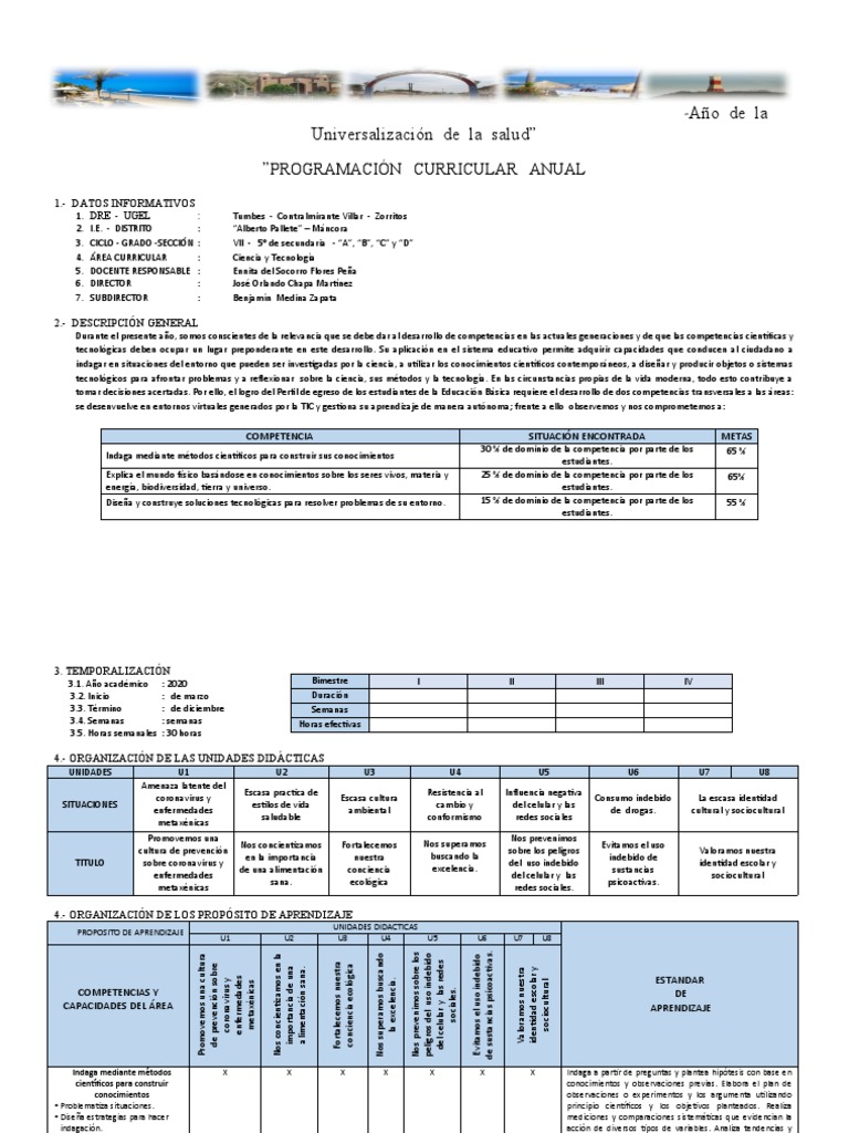 Prog - Anual Cyt 2020 | PDF | Evaluación | Aprendizaje