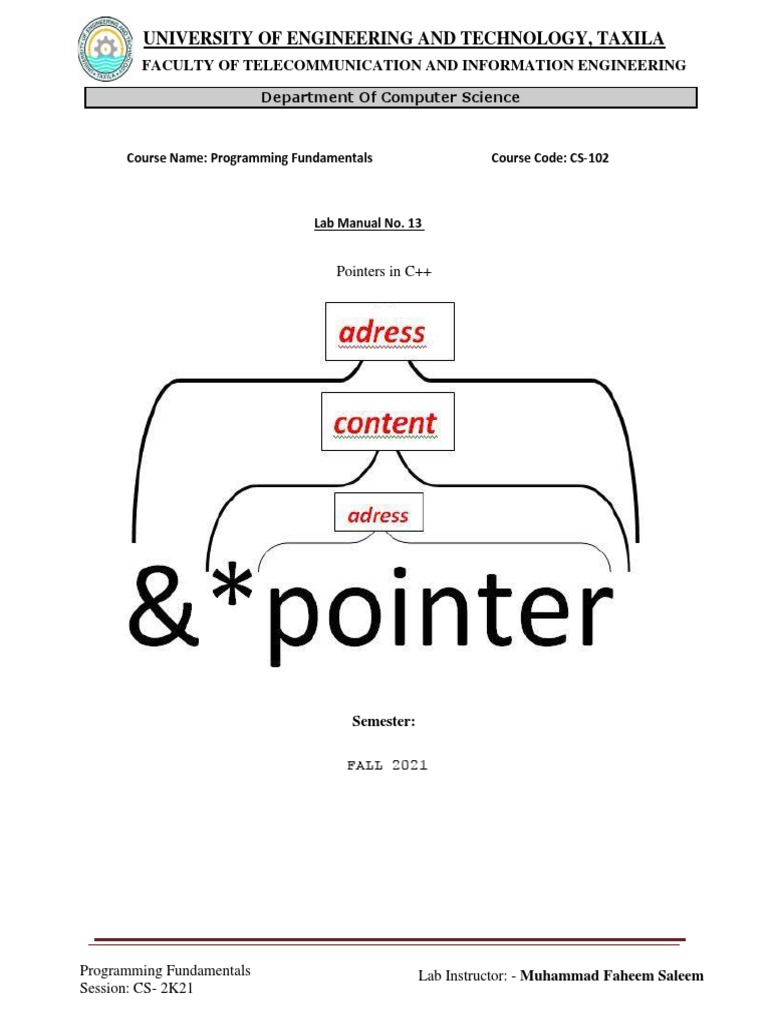 PF-Lab Manual No 13 | PDF | Pointer (Computer Programming) | Array Data Structure