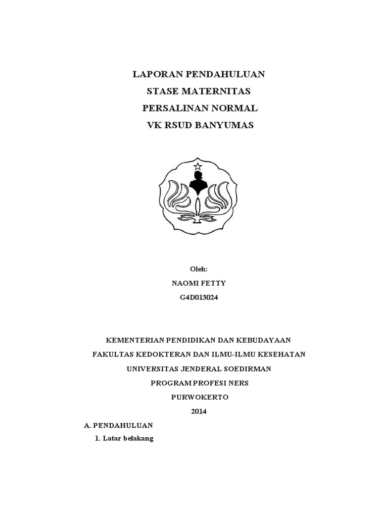 LP Persalinan Normal | PDF