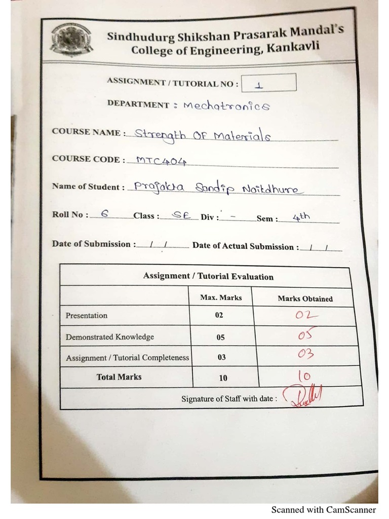 Som Assignment | PDF