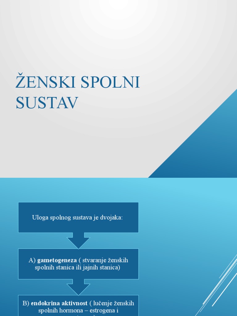 Ženski Spolni Sustav | PDF