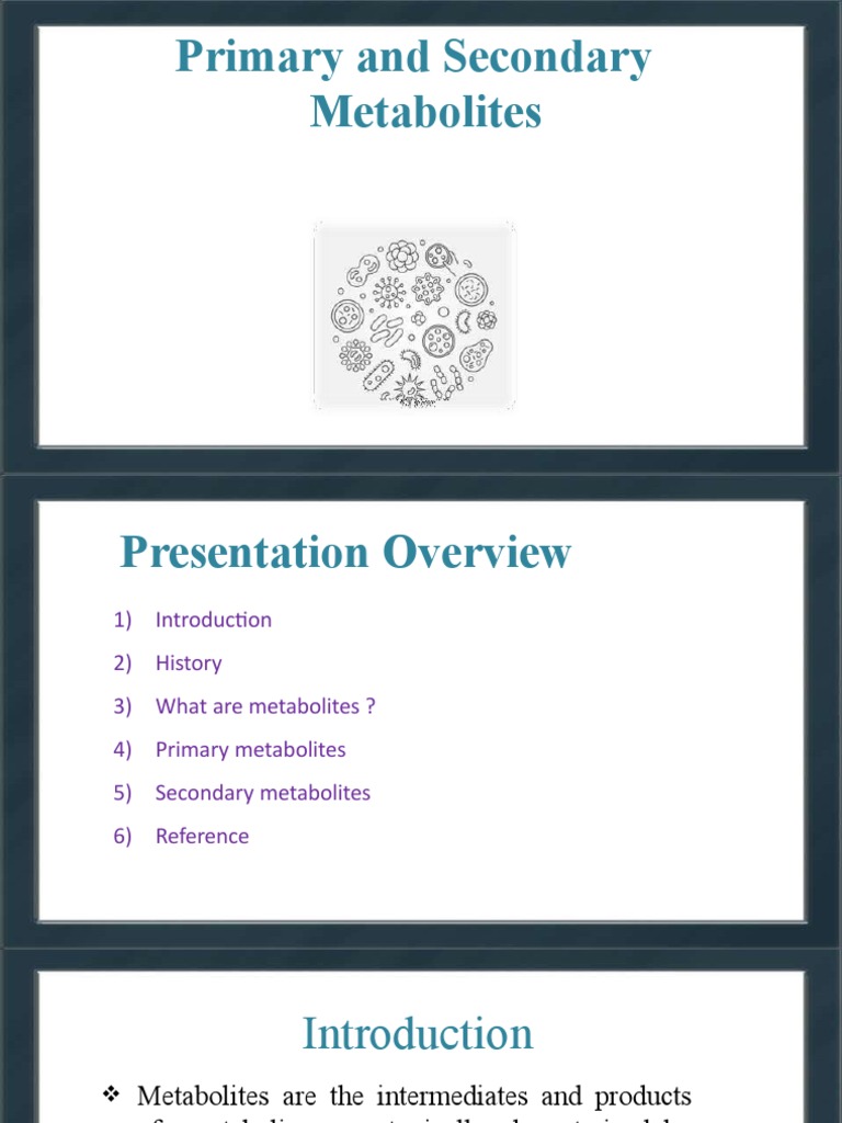 Primary and Secondary Metabolites | PDF | Metabolism | Penicillin