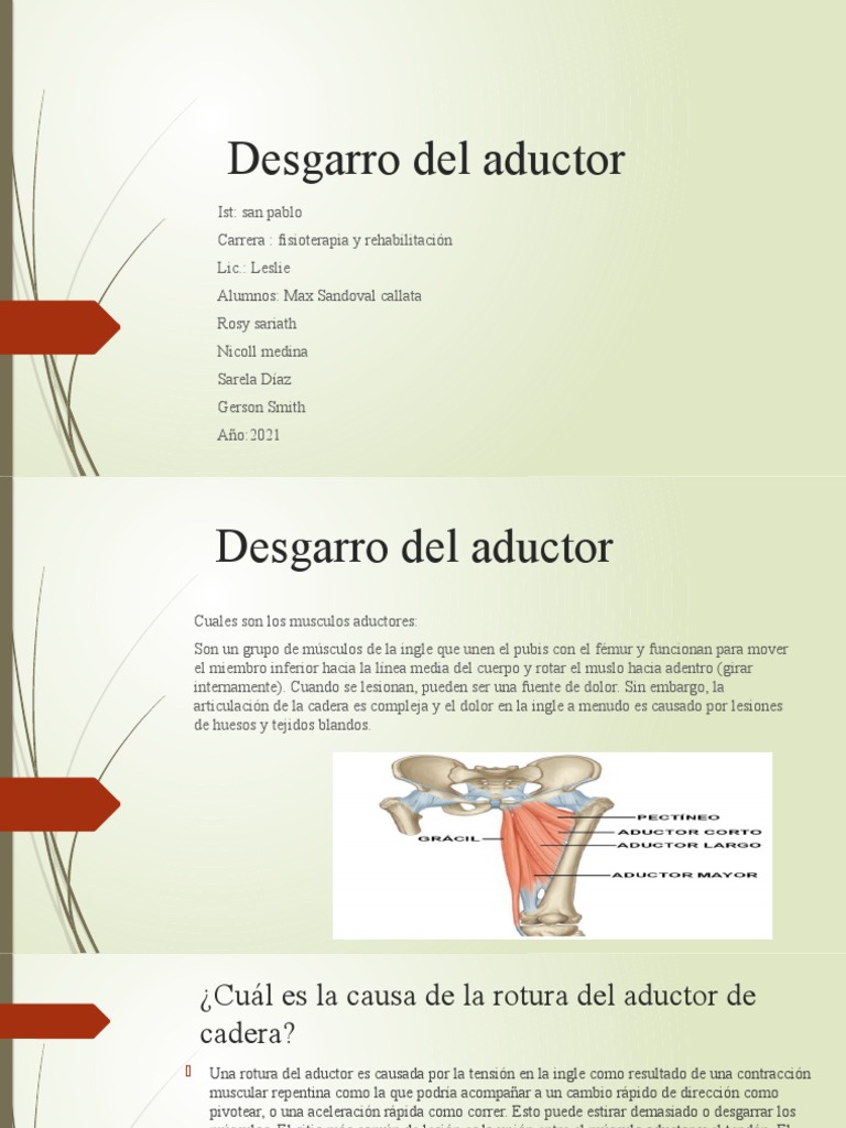 Desgarro Del Aductor de Max Sandoval y Su Grupo | PDF | Músculo ...