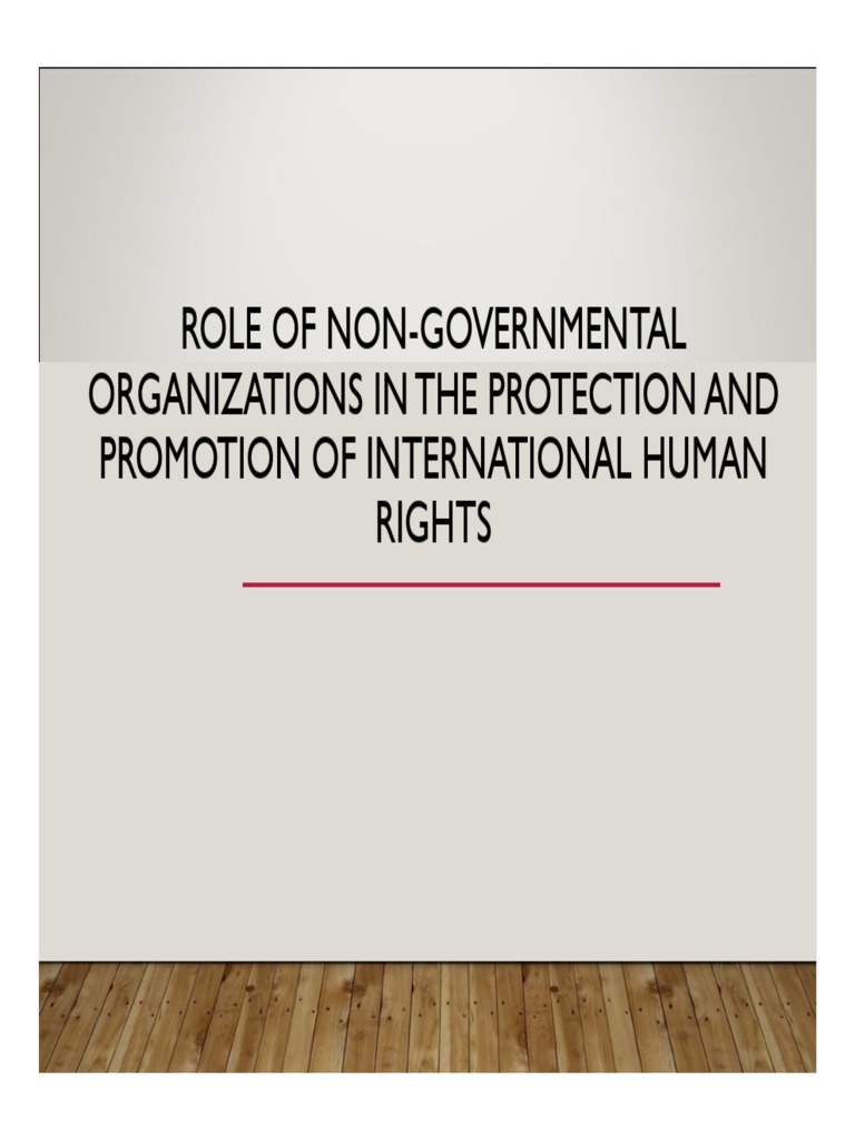 Role of Ngo in The Protection and Promotion of Human Rights | PDF | Non ...