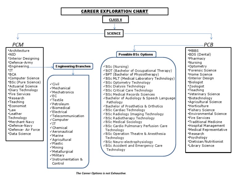 Career Chart Science | PDF | Bachelor's Degree | Medicine