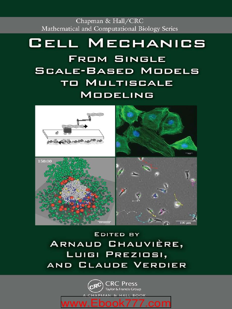 Cell Mechanics | PDF