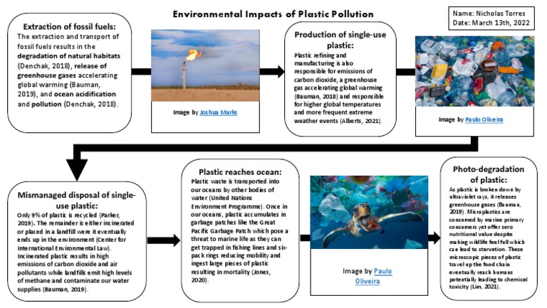 Plastic Pollution Graphic Organizer | PDF | Waste | Greenhouse Gas
