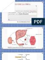 La Síntesis de La UREA | PDF | Urea | Sustancias químicas