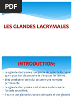 Anatomie et physiologie des glandes lacrymales | PDF | Anatomie humaine ...